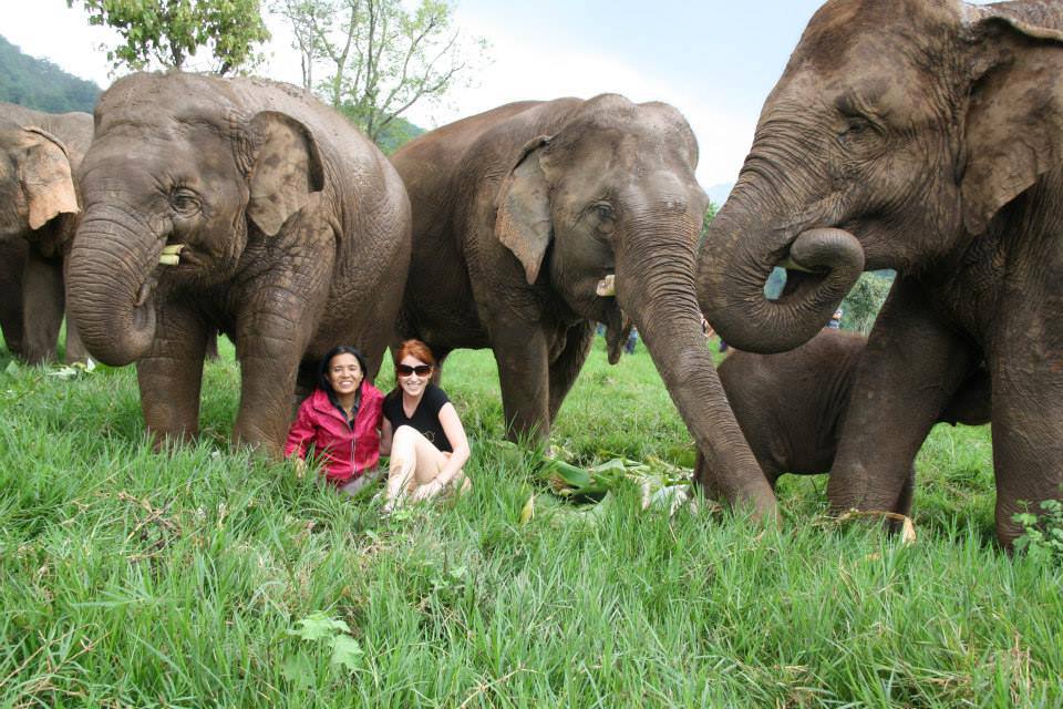 Understanding the need for elephant protection - Oyster Worldwide