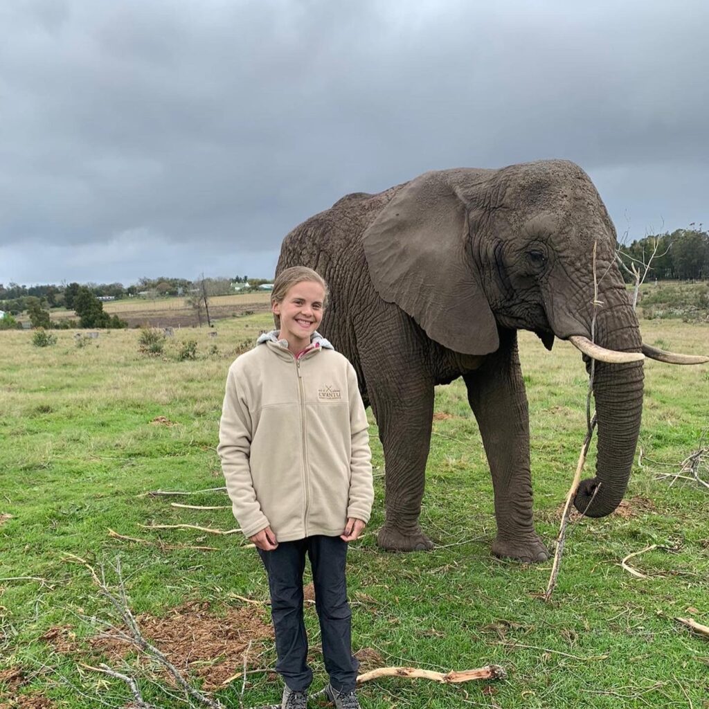 Wildlife Conservation Volunteer Projects in South Africa | Oyster Worldwide