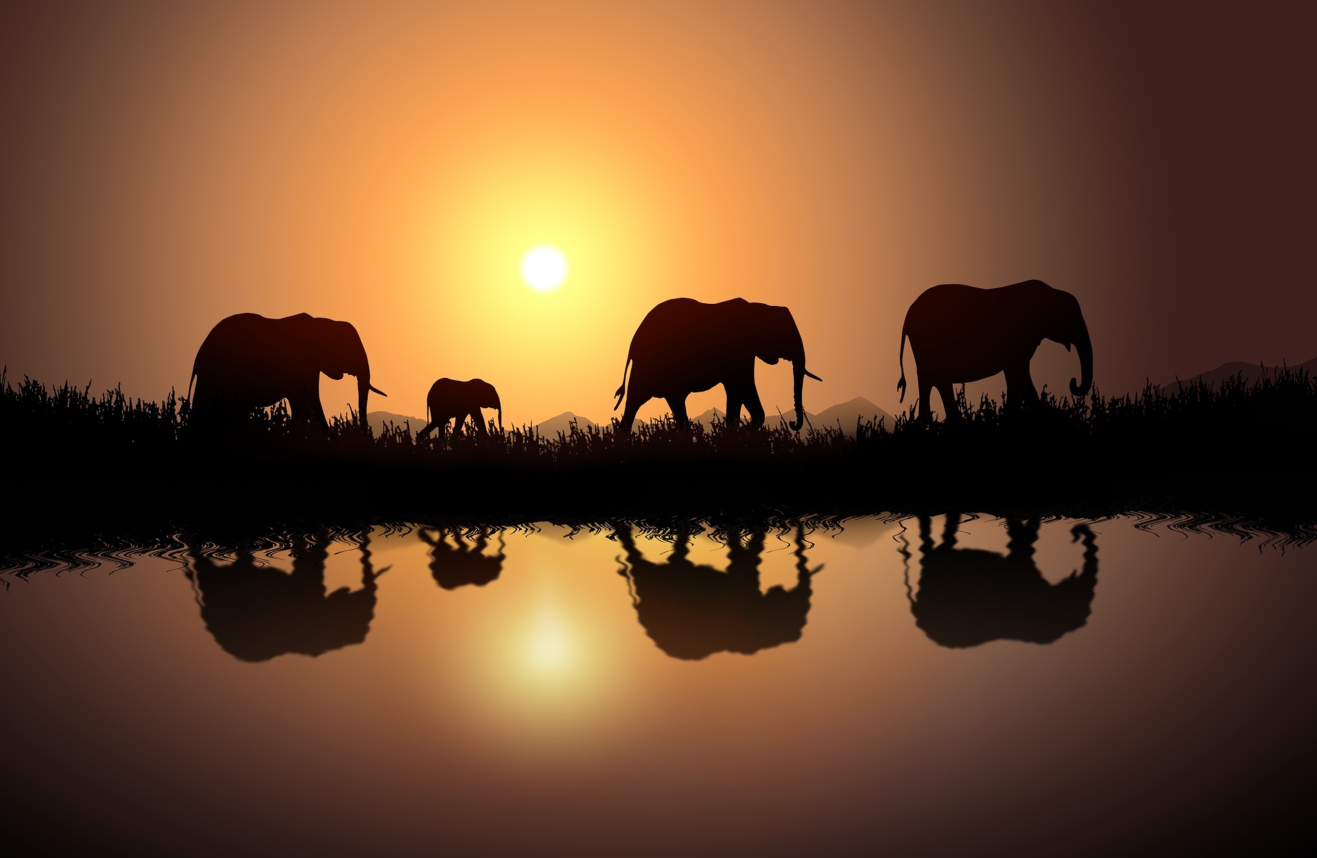 The Ultimate Guide to Wildlife Travel - Everything You Need to Know ...